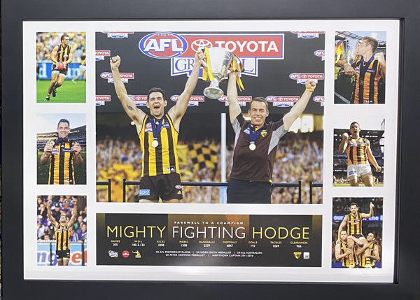 The Mighty Fighting Luke Hodge Retirement Tribute, Hawthorn Hawks ...